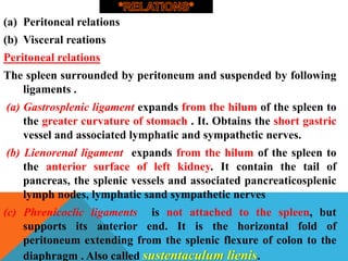 Anatomy of spleen | PPTX