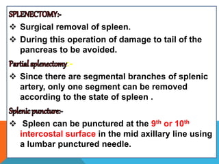 Anatomy of spleen | PPTX