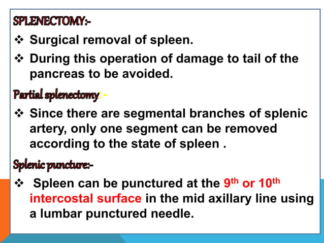 Anatomy of spleen | PPTX | Digestive Disorders | Diseases and Conditions