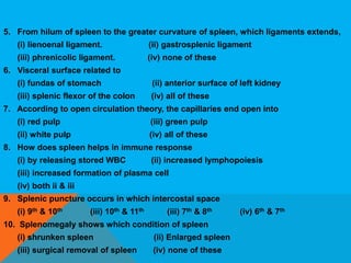Anatomy of spleen | PPTX
