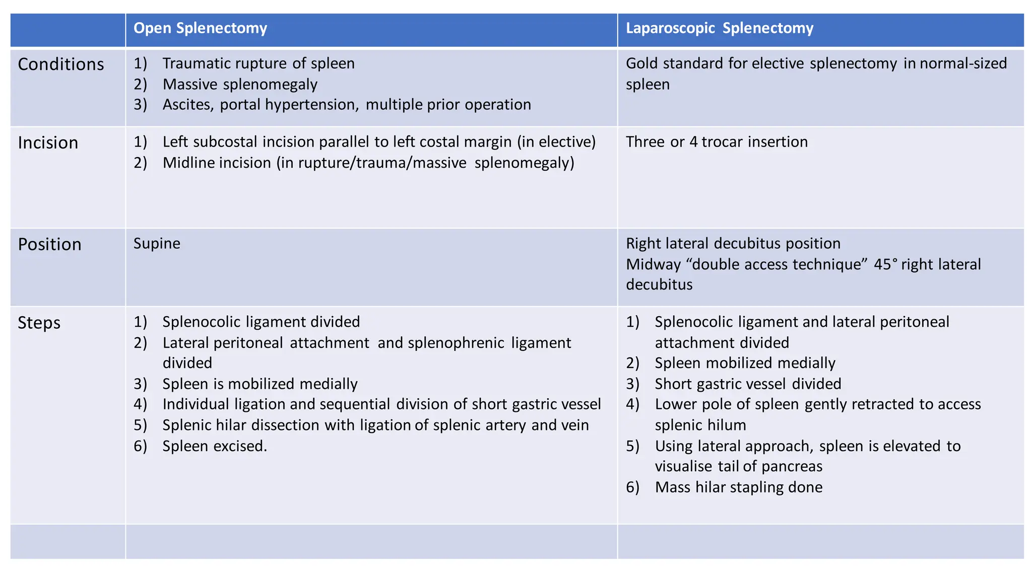 Anatomy of Spleen.pdf