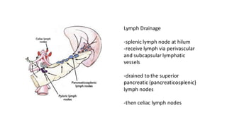 Anatomy of Spleen.pdf
