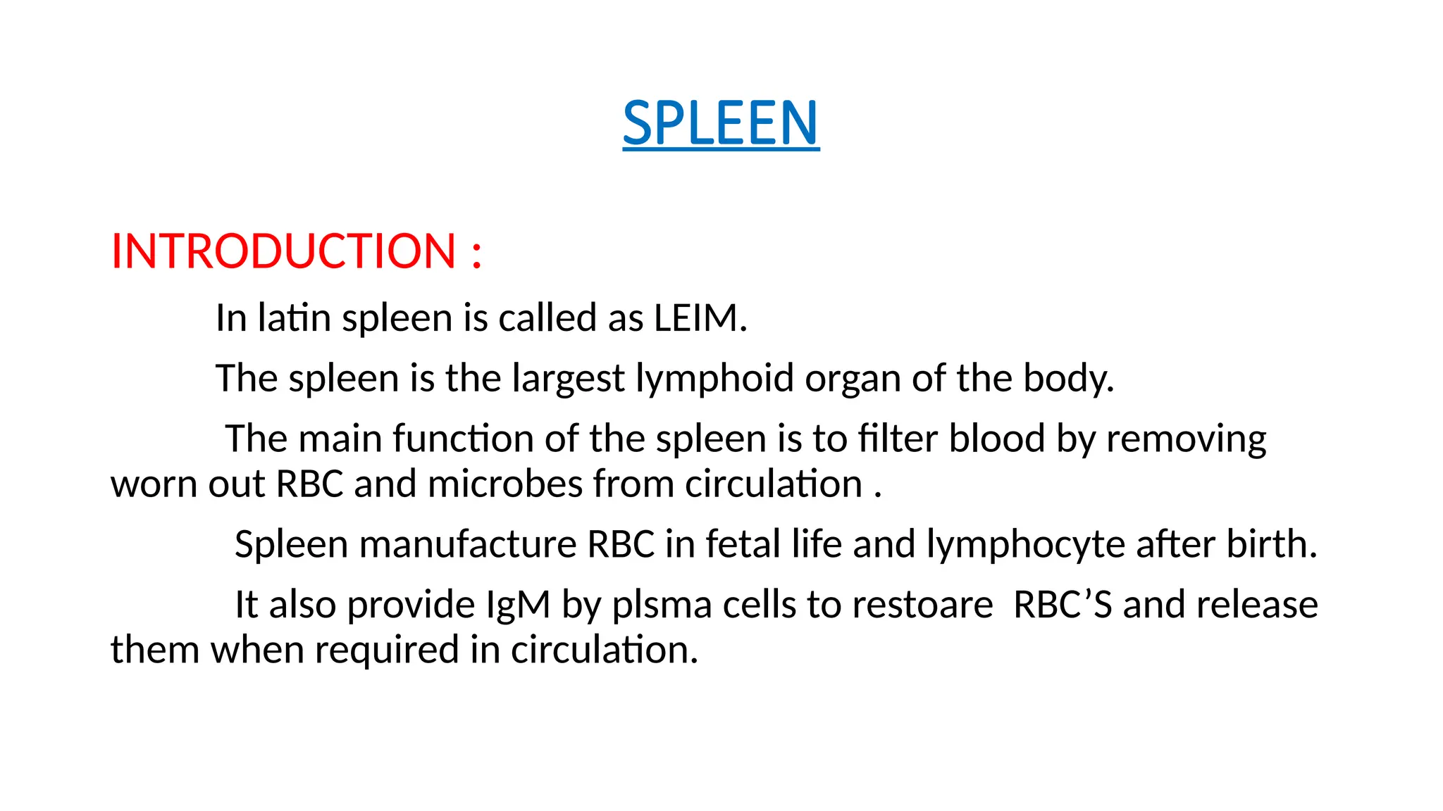 ANATOMY OF SPLEEN.pptx #Anatomy 1st year | PPTX