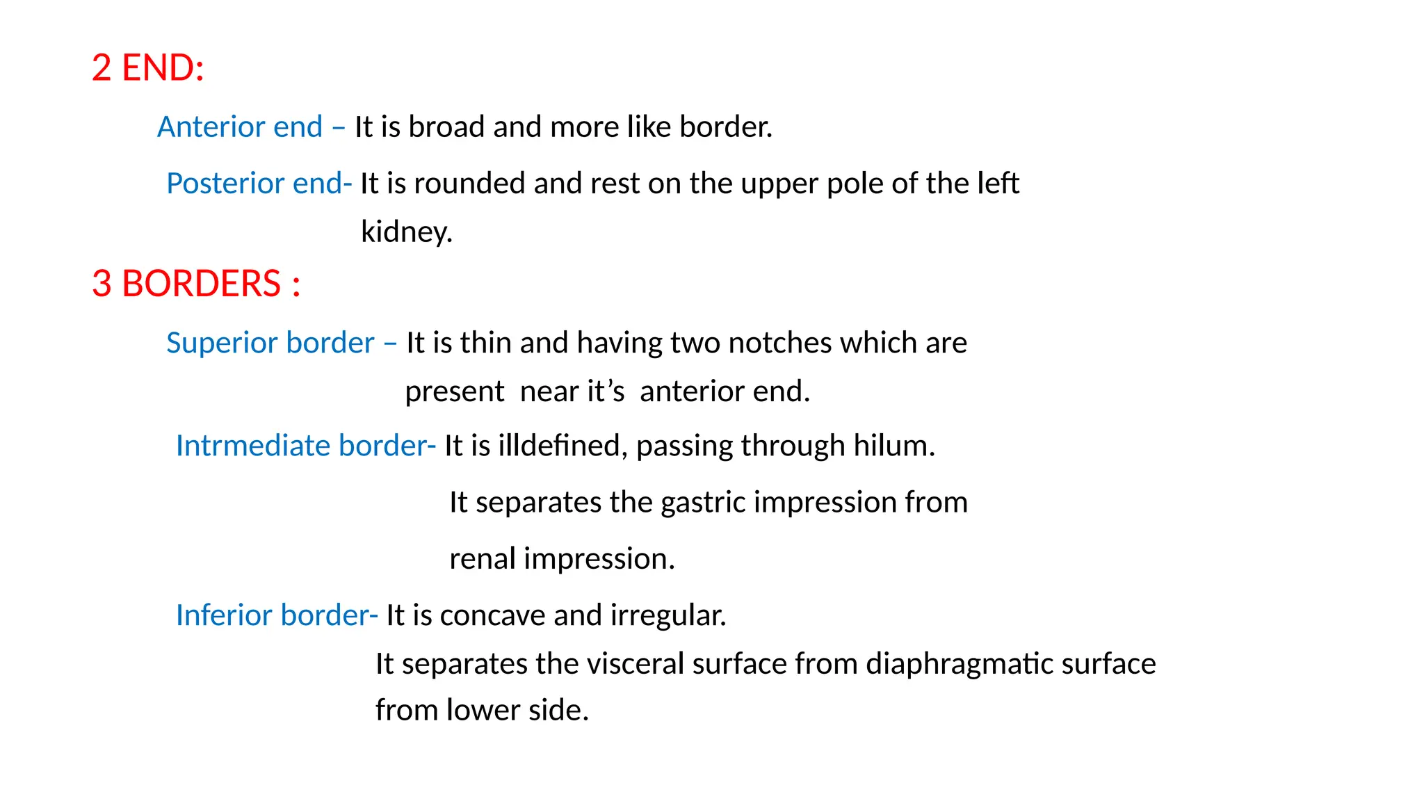 ANATOMY OF SPLEEN.pptx #Anatomy 1st year | PPTX