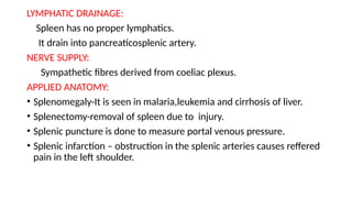 ANATOMY OF SPLEEN.pptx #Anatomy 1st year | PPTX