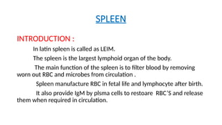 ANATOMY OF SPLEEN.pptx #MBBS #BAMS #BHMS # | PPTX