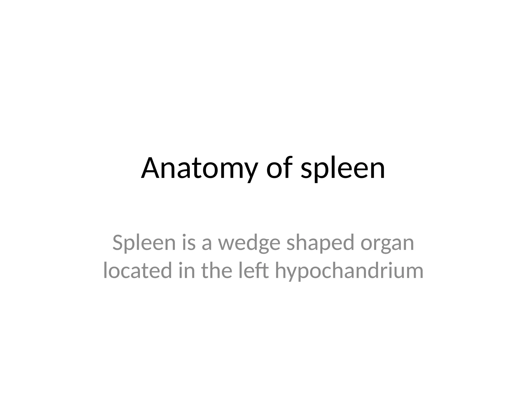 anatomy of spleen. Surgical anatomy. Blood supply | PPTX