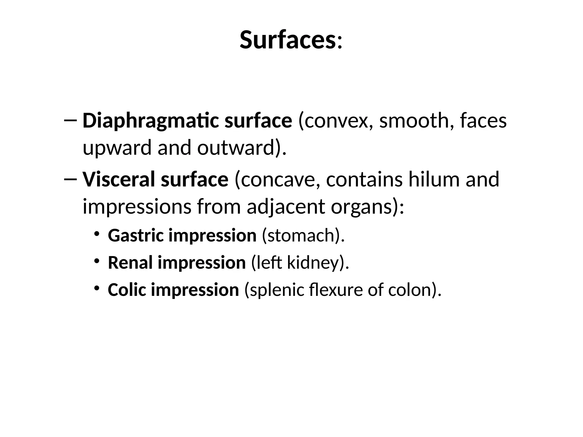anatomy of spleen. Surgical anatomy. Blood supply | PPTX