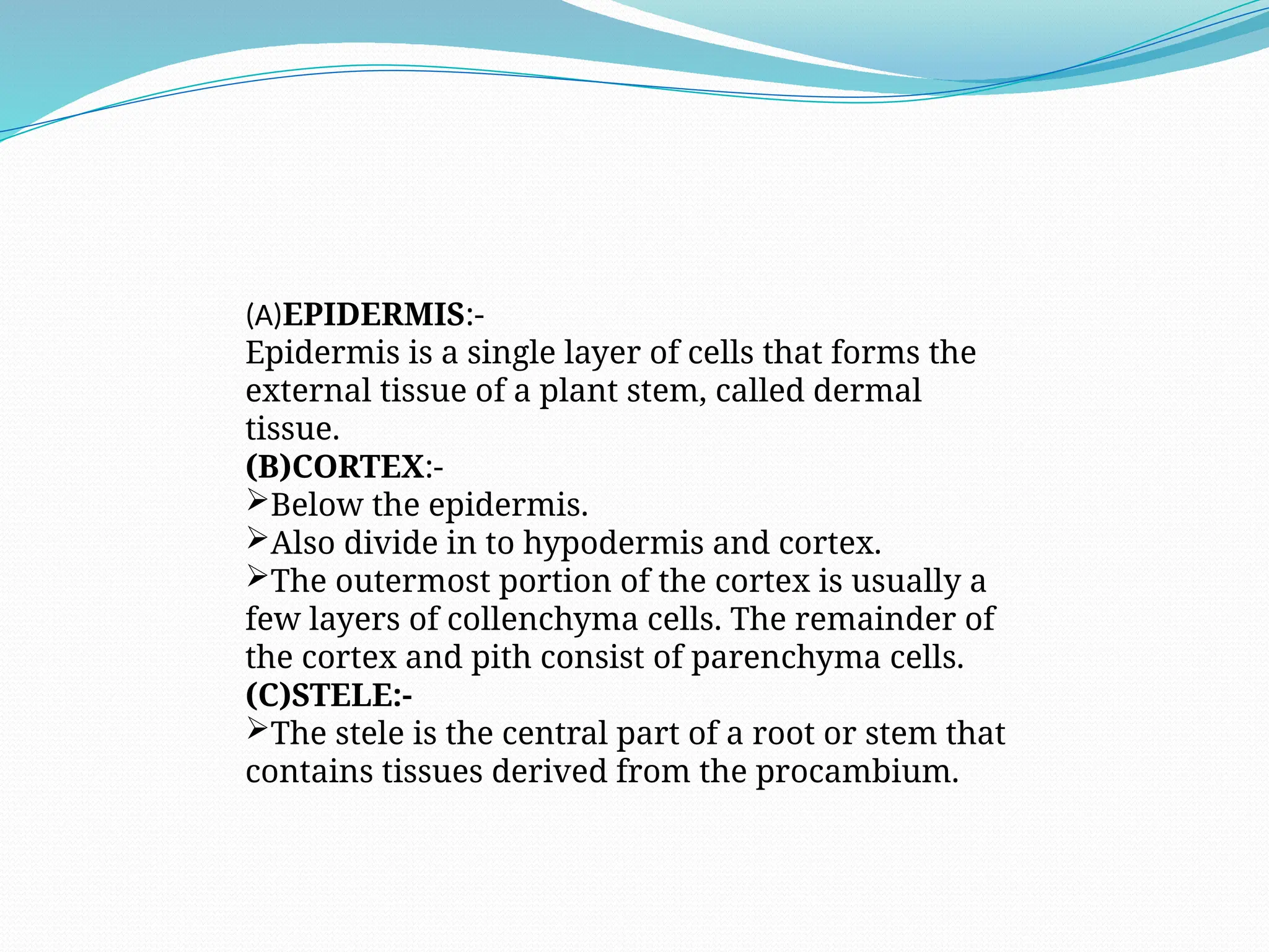 ANATOMY OF STEM.pptx Botany Carrier | PPTX