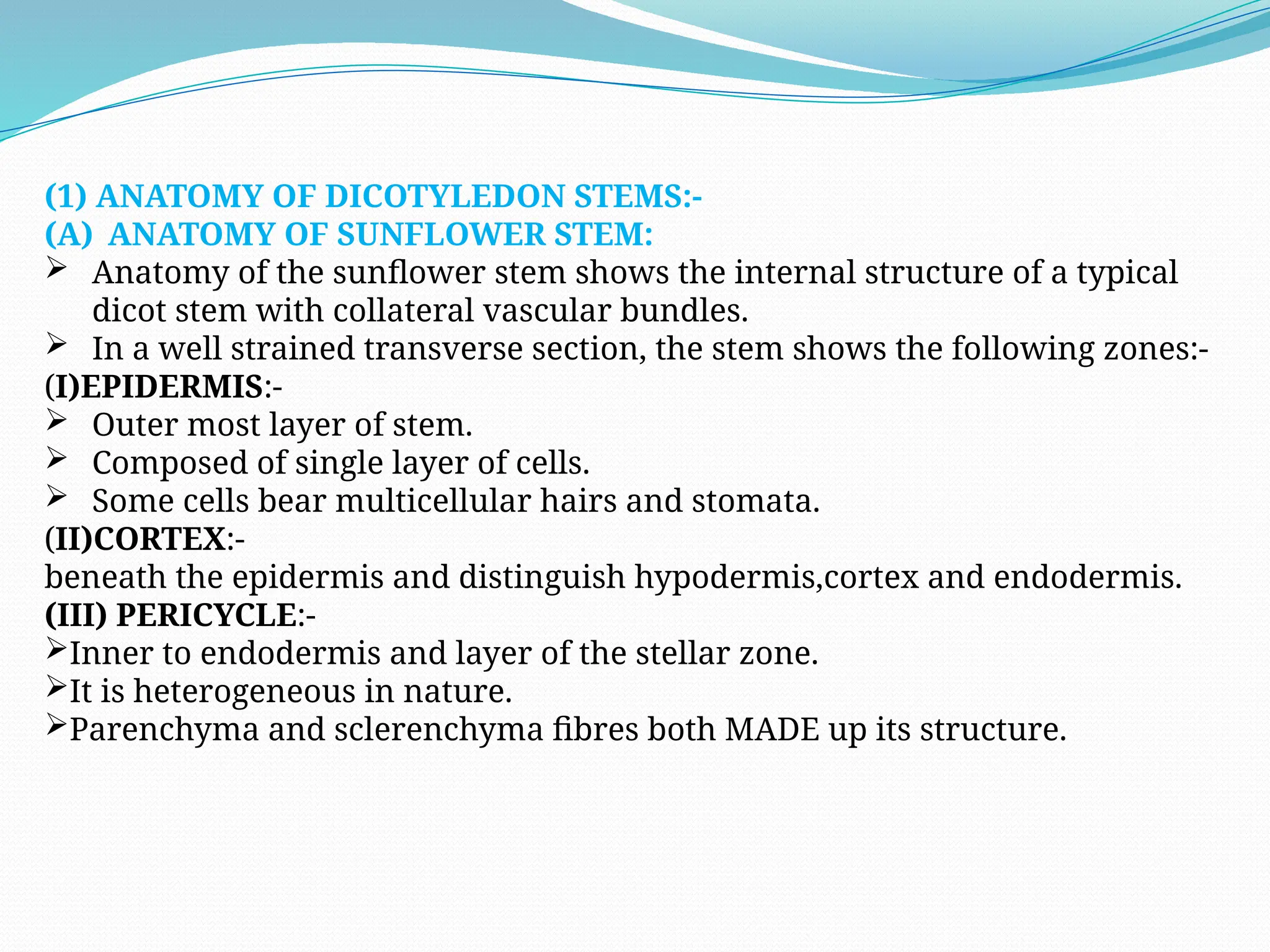 ANATOMY OF STEM.pptx Botany Carrier | PPTX