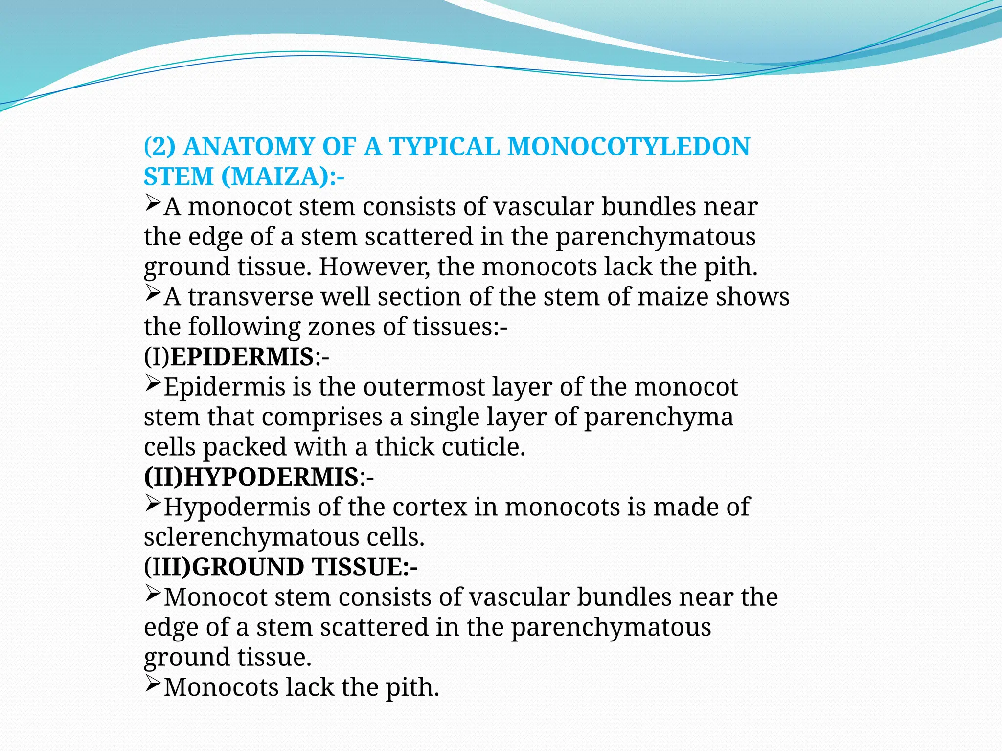 ANATOMY OF STEM.pptx Botany Carrier | PPTX