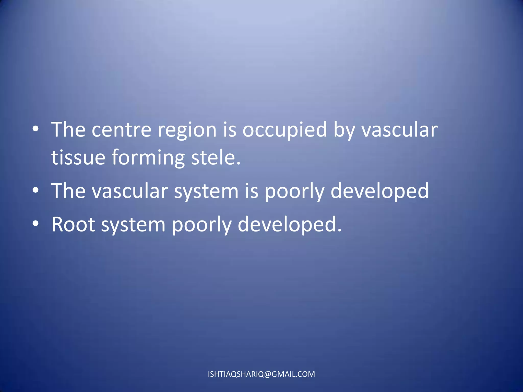 Anatomy of stem,root and leaf of rice | PPTX