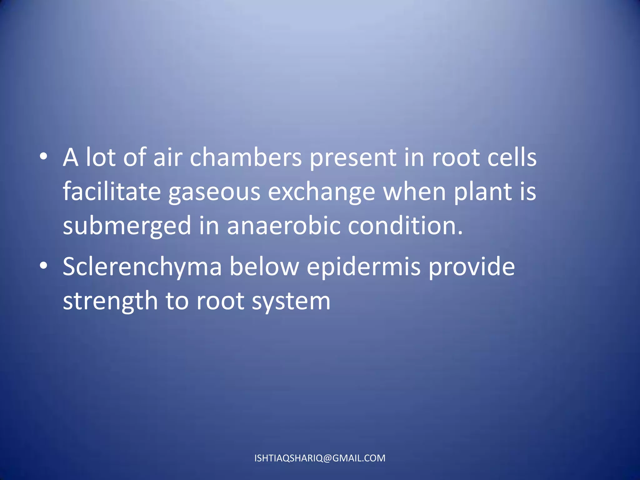 Anatomy of stem,root and leaf of rice | PPTX | Gardening | Home & Garden
