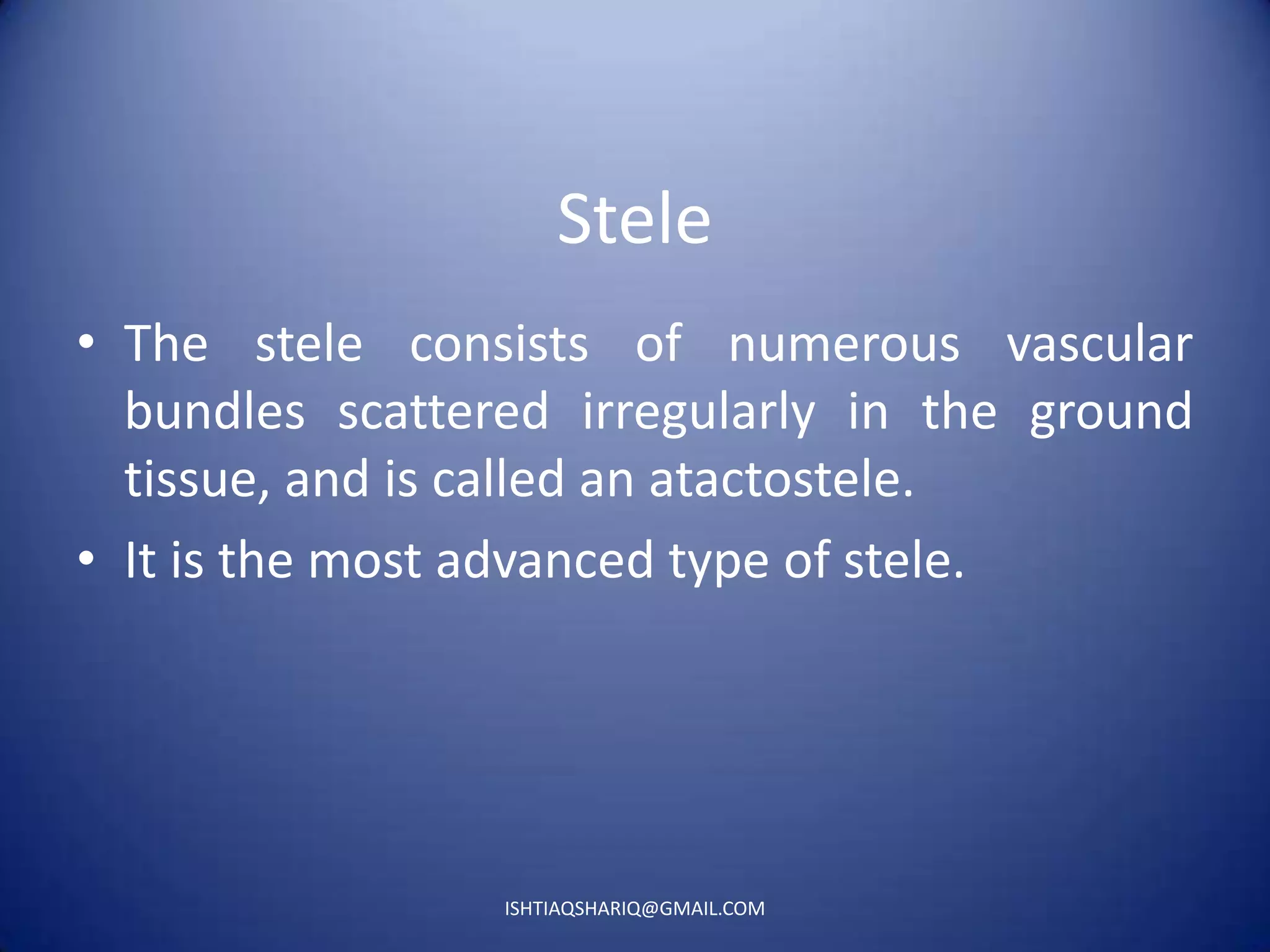Anatomy of stem,root and leaf of rice | PPTX