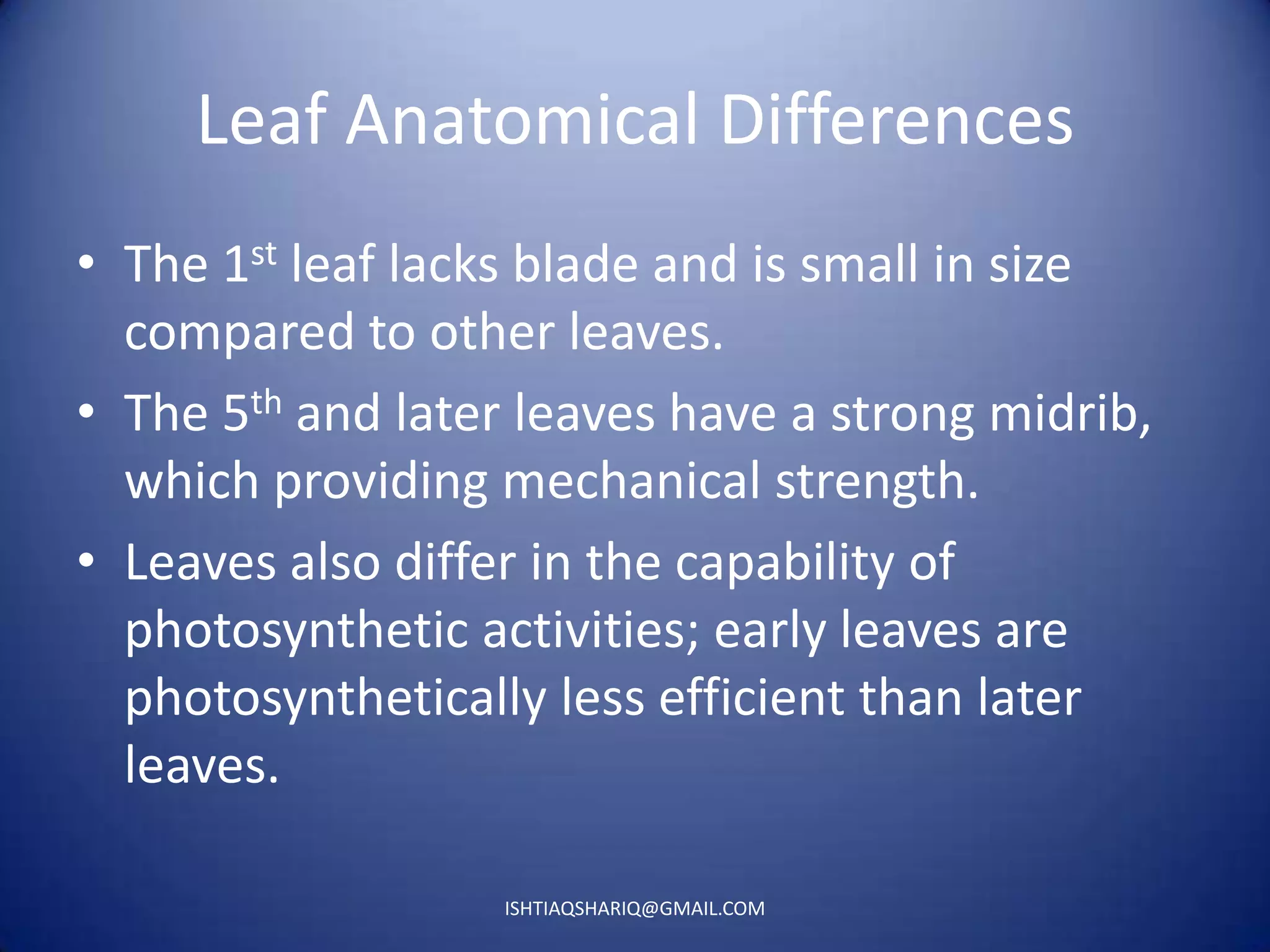 Anatomy of stem,root and leaf of rice | PPTX | Gardening | Home & Garden