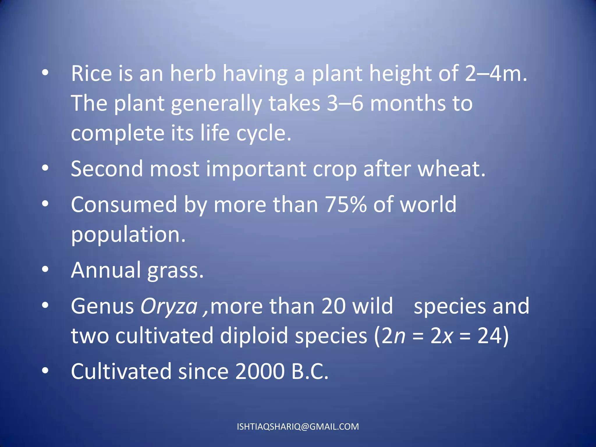 Anatomy of stem,root and leaf of rice | PPTX