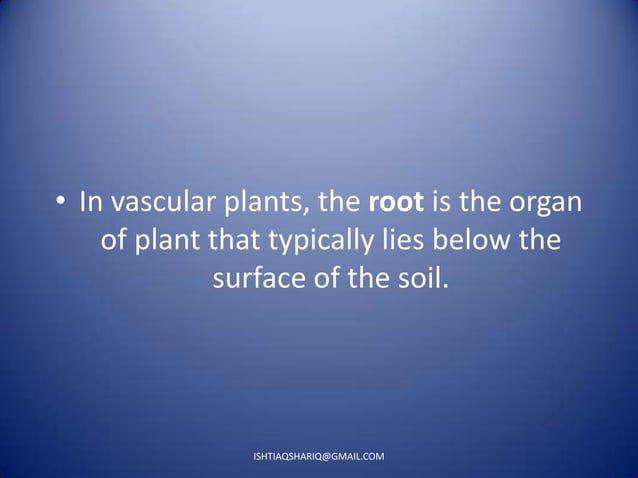 Anatomy of stem,root and leaf of rice | PPTX | Gardening | Home & Garden