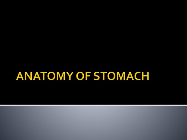 Anatomy of stomach | PPTX | Digestive Disorders | Diseases and Conditions