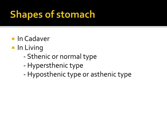Anatomy of stomach | PPTX | Digestive Disorders | Diseases and Conditions