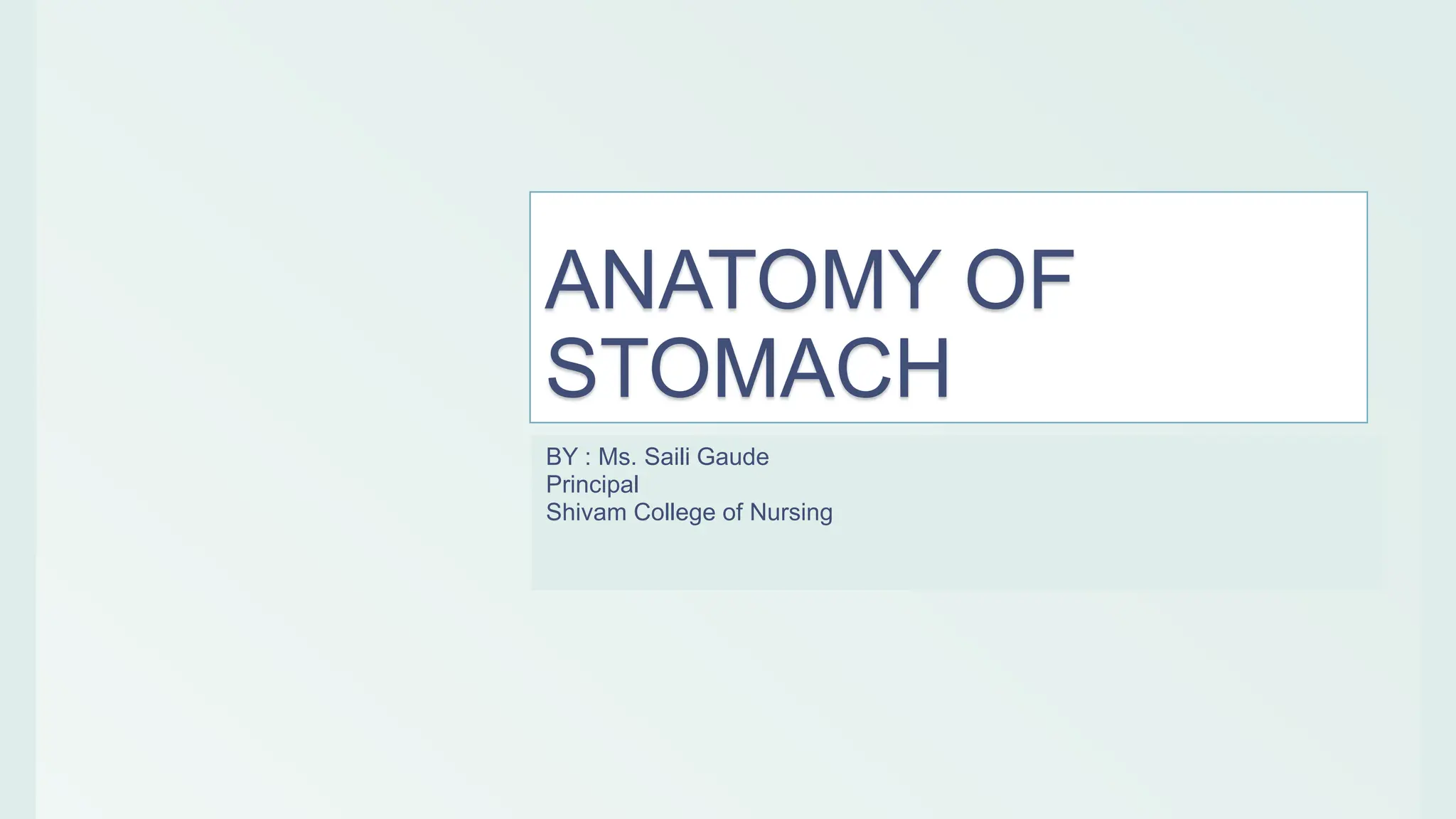 ANATOMY OF STOMACH- a short concise lect | PPTX