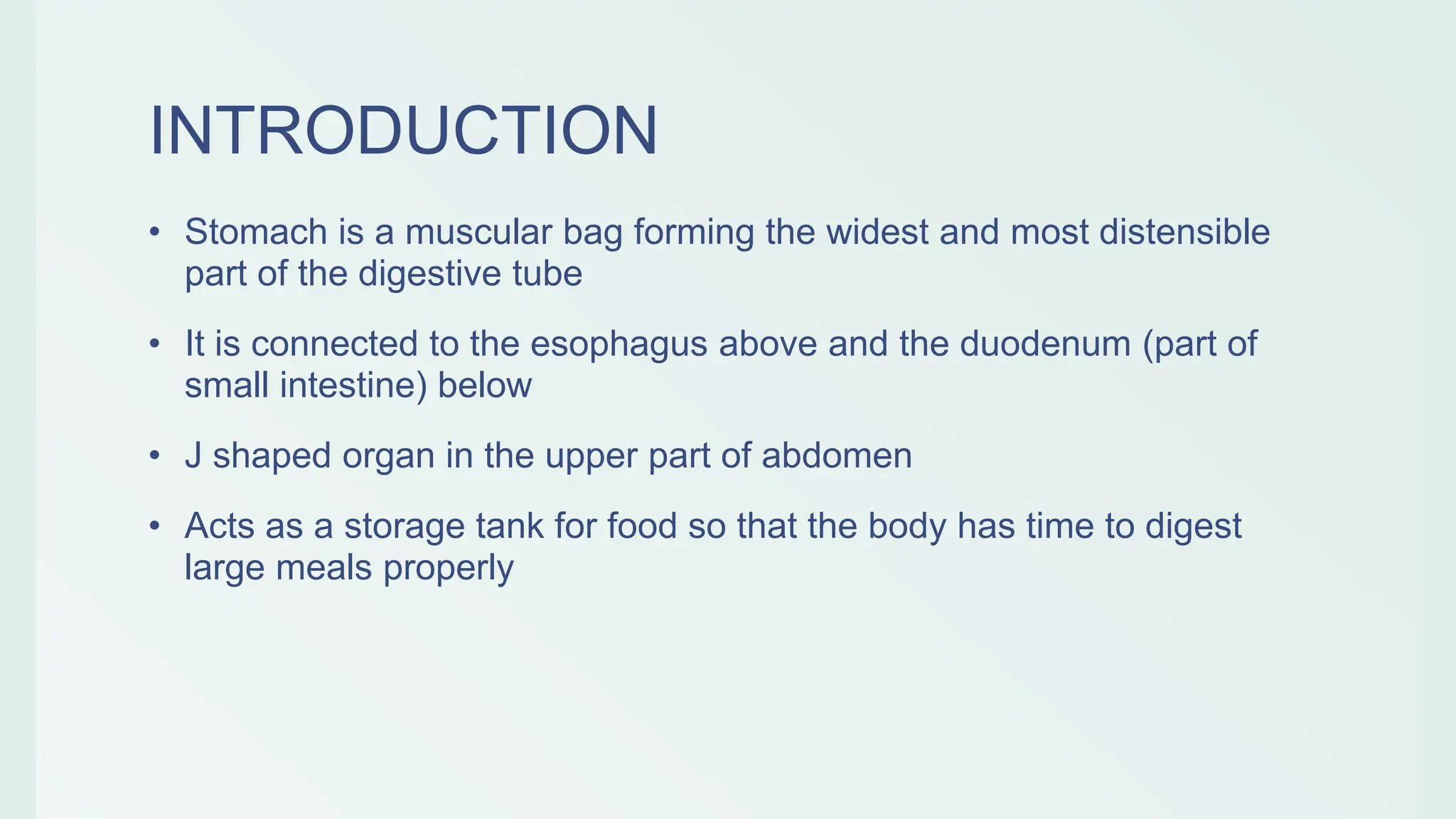ANATOMY OF STOMACH- a short concise lect | PPTX