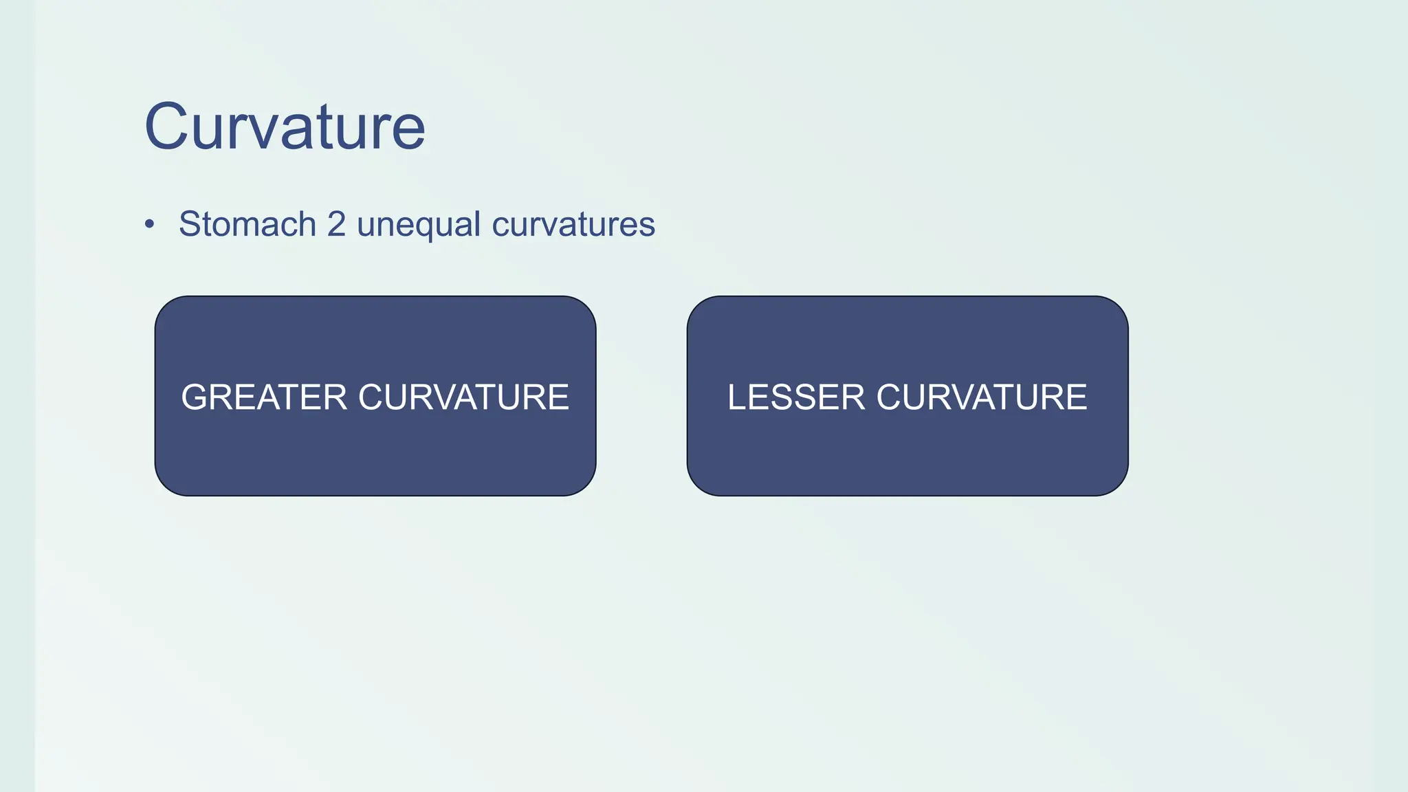 ANATOMY OF STOMACH- a short concise lect | PPTX