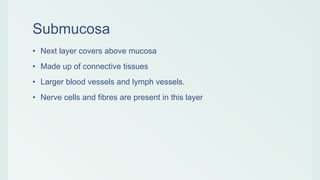 ANATOMY OF STOMACH- a short concise lect | PPTX