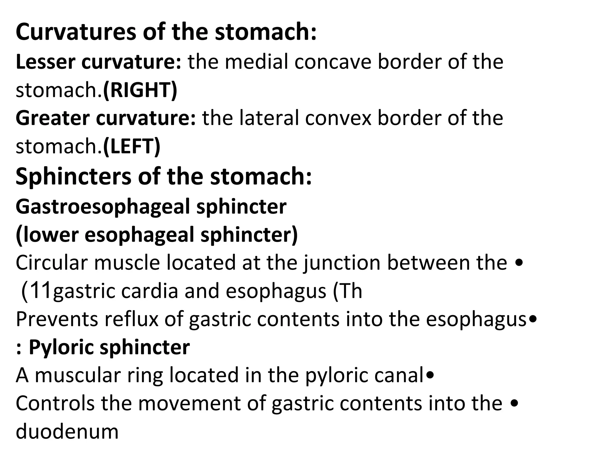anatomy of stomach.pptx