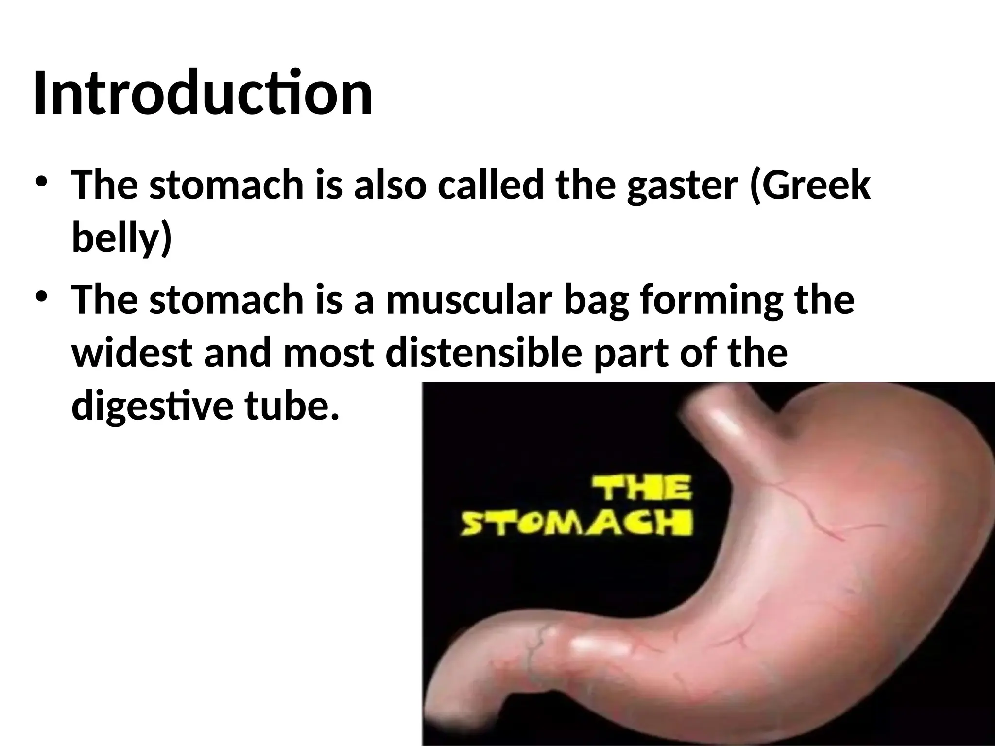 Anatomy of stomach- Blood supply, Lymphatic drainage- Station of lymph ...