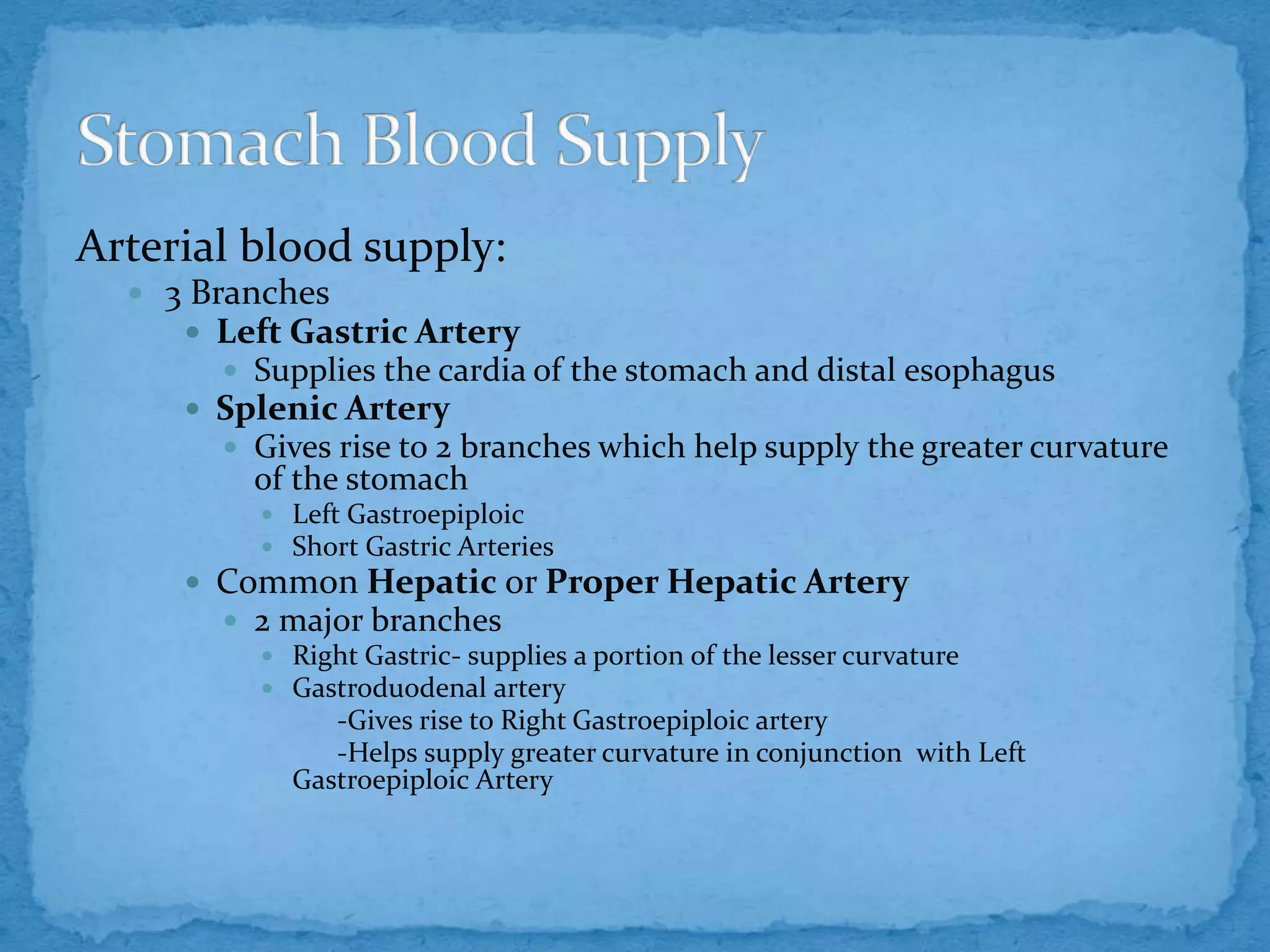 Anatomy of stomach | PPTX