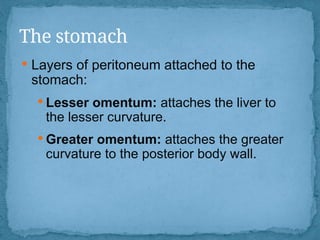 Anatomy of Stomach by Dr. Sumit Sharma.pptx
