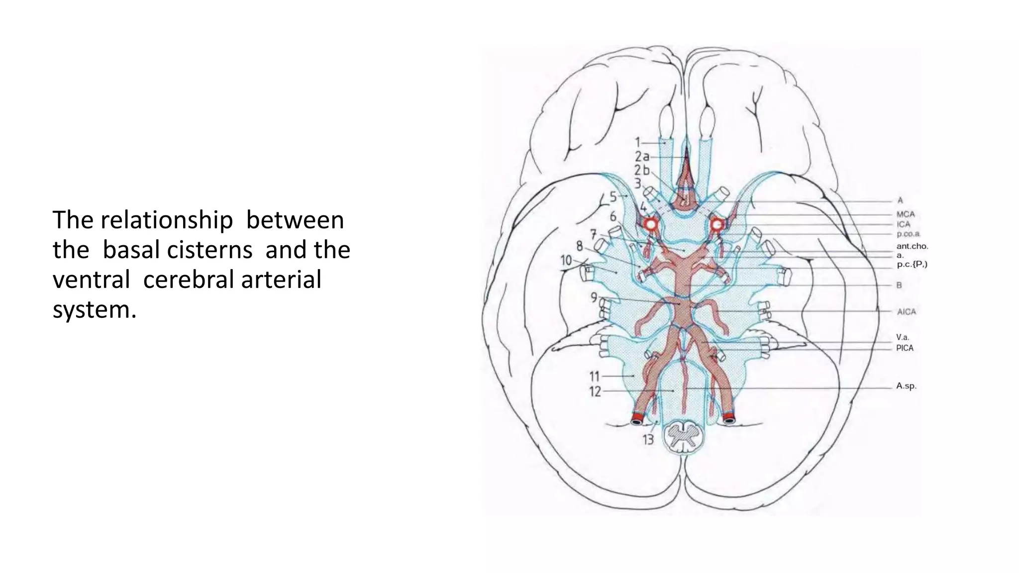 ANATOMY OF SUBARACHNOID CISTERNS OF BRAIN | PPTX