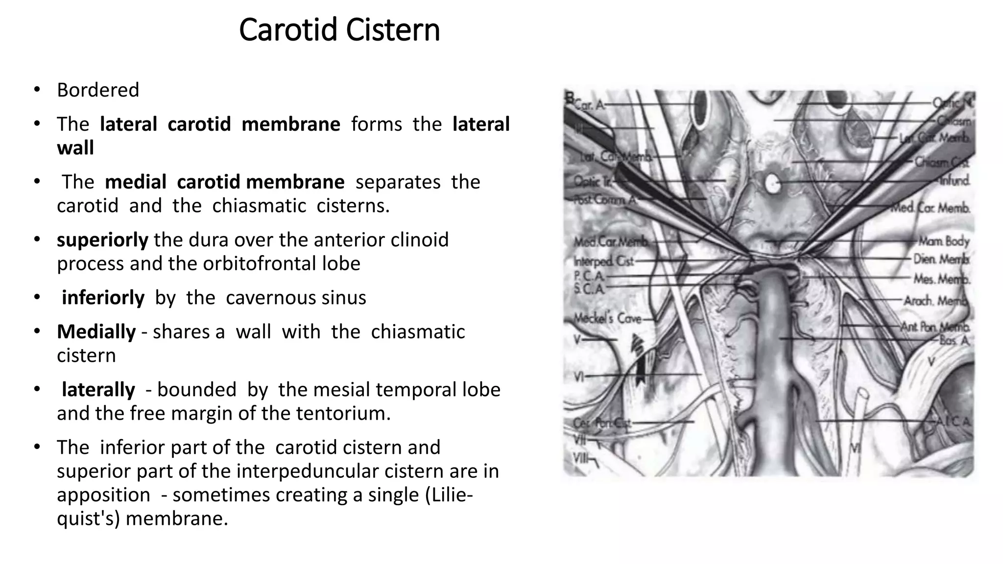 ANATOMY OF SUBARACHNOID CISTERNS OF BRAIN | PPTX