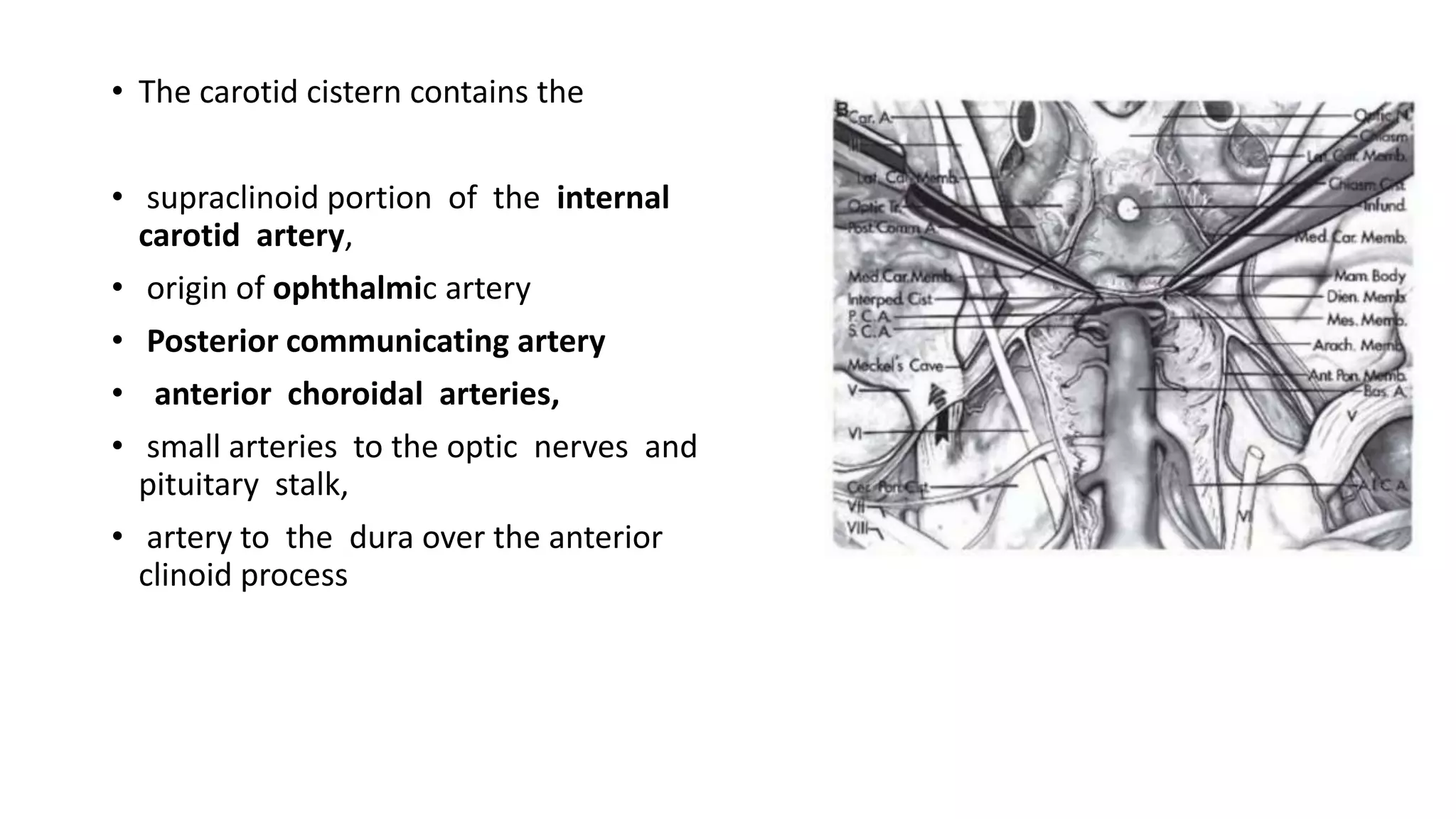 ANATOMY OF SUBARACHNOID CISTERNS OF BRAIN | PPTX