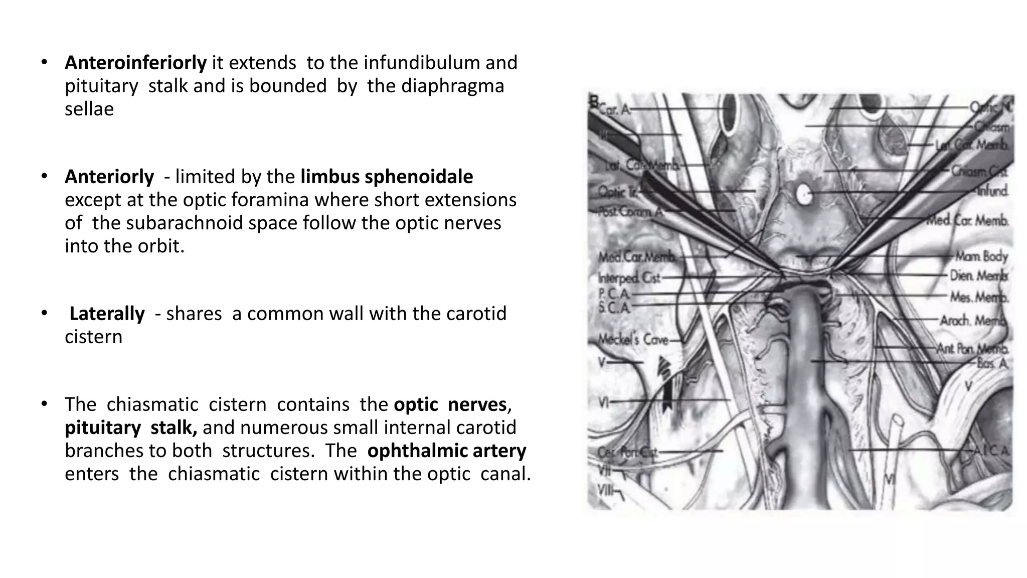 ANATOMY OF SUBARACHNOID CISTERNS OF BRAIN | PPTX