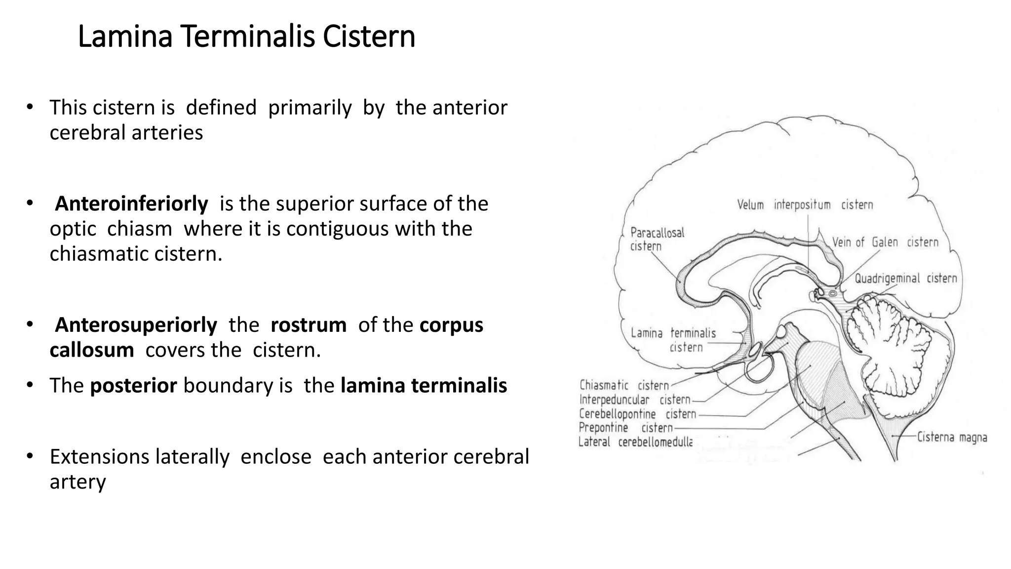 ANATOMY OF SUBARACHNOID CISTERNS OF BRAIN | PPTX