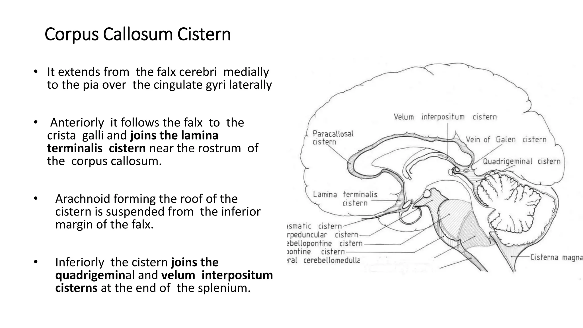 ANATOMY OF SUBARACHNOID CISTERNS OF BRAIN | PPTX