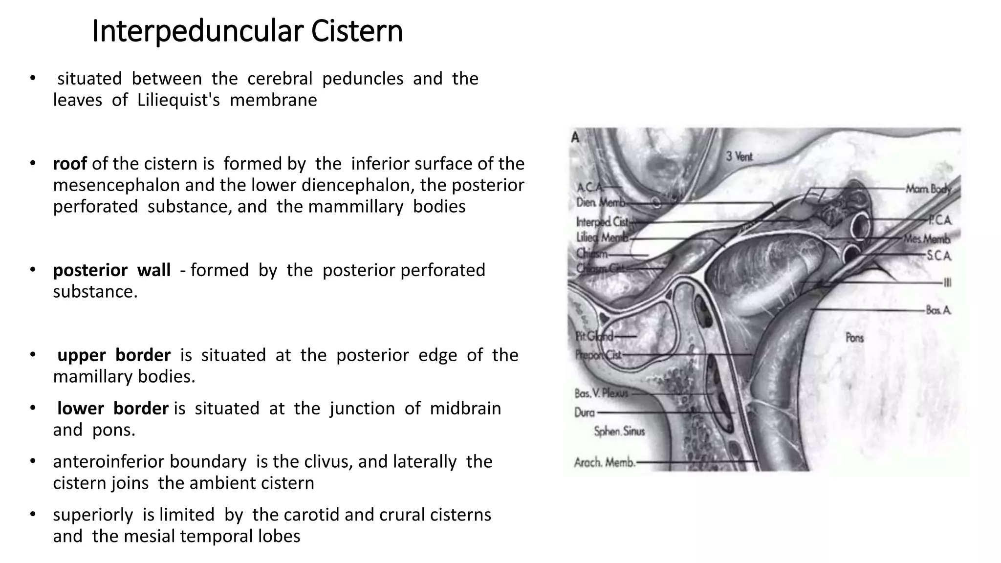 ANATOMY OF SUBARACHNOID CISTERNS OF BRAIN | PPTX