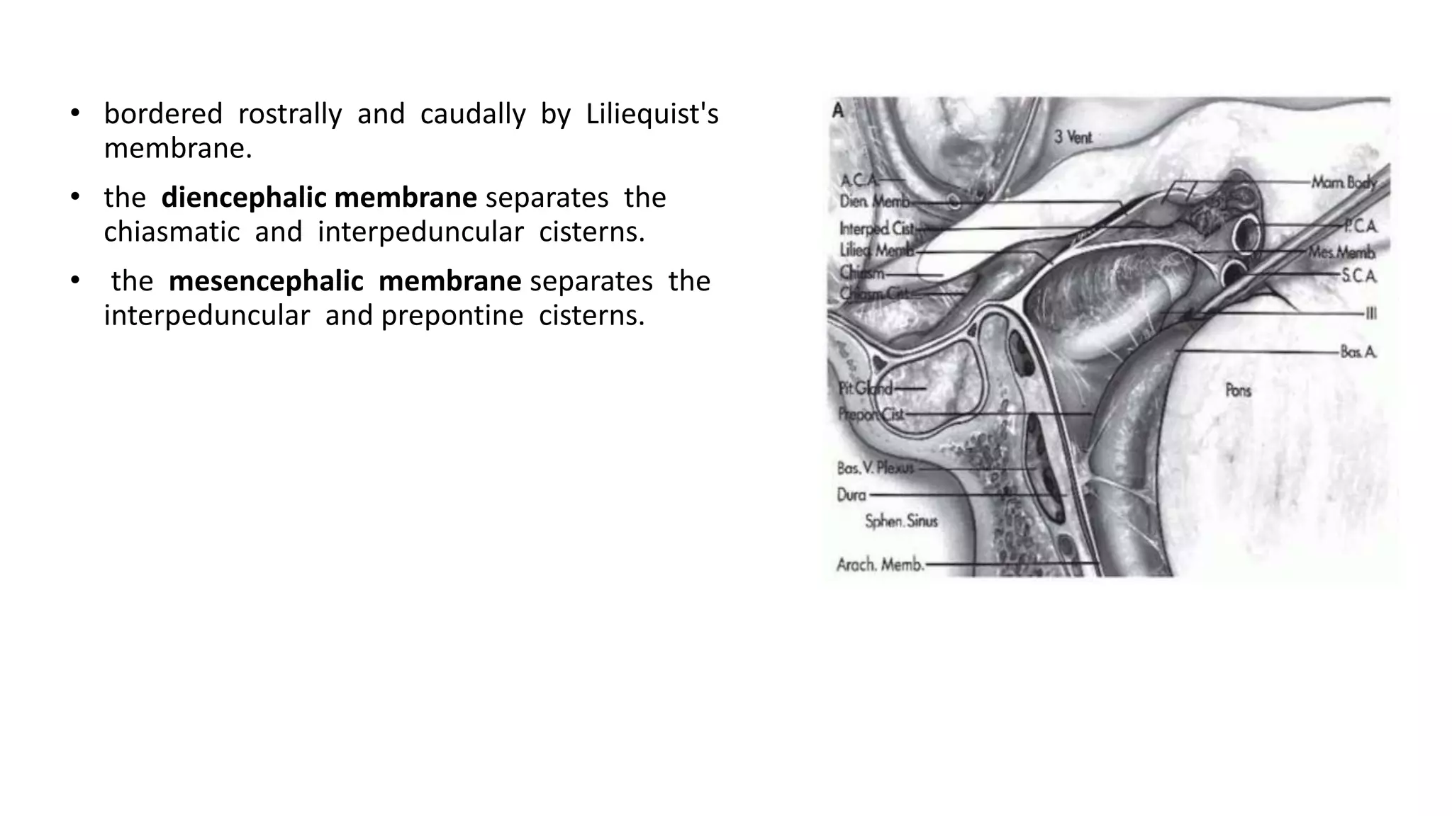 ANATOMY OF SUBARACHNOID CISTERNS OF BRAIN | PPTX