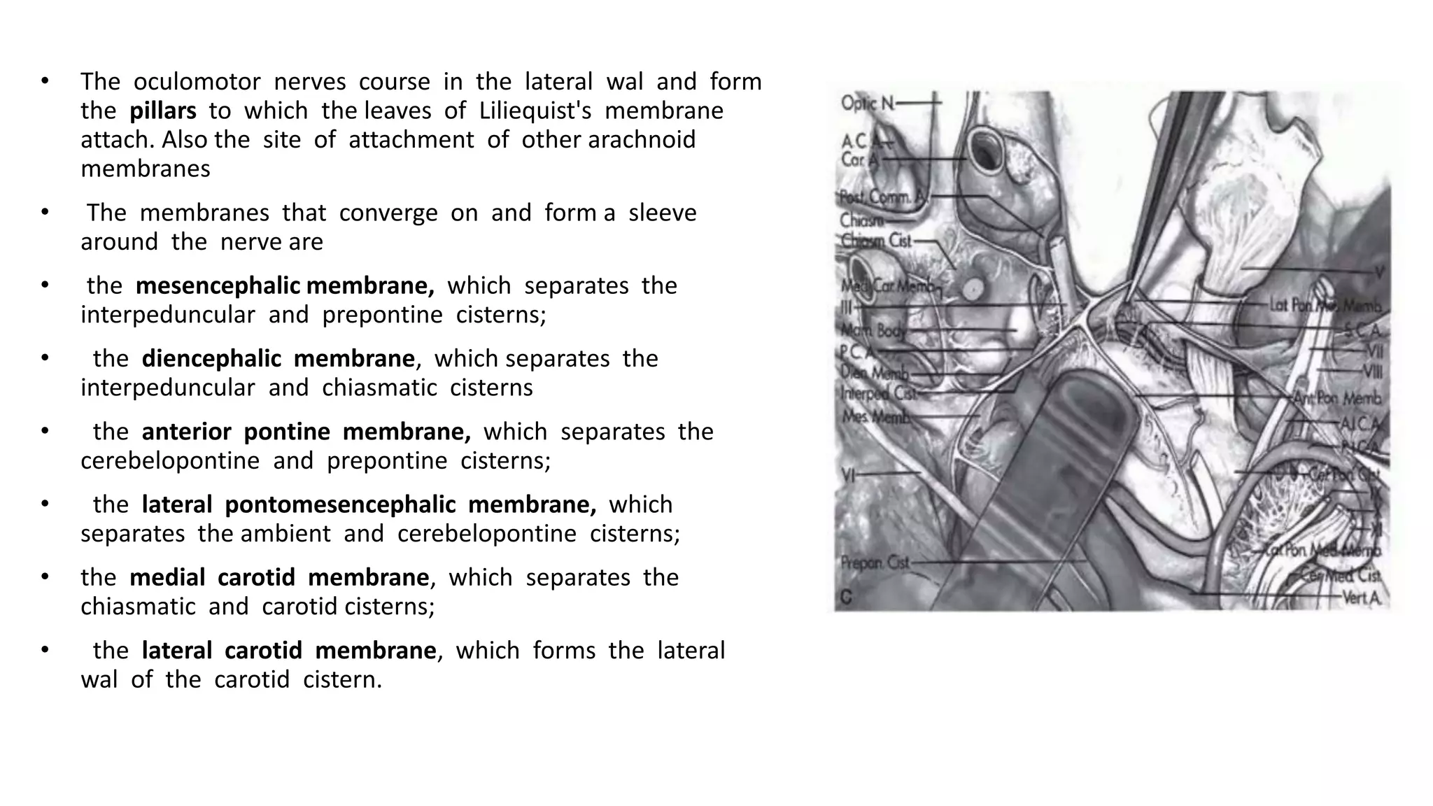 ANATOMY OF SUBARACHNOID CISTERNS OF BRAIN | PPTX