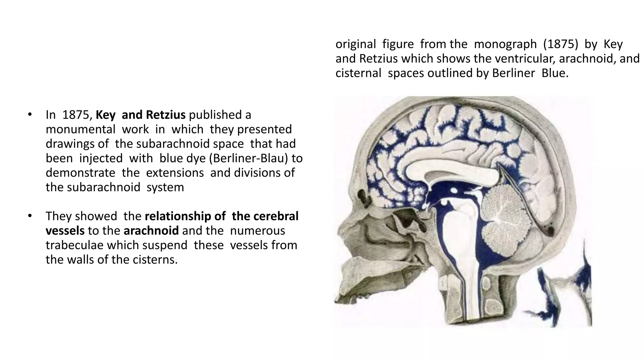 ANATOMY OF SUBARACHNOID CISTERNS OF BRAIN | PPTX