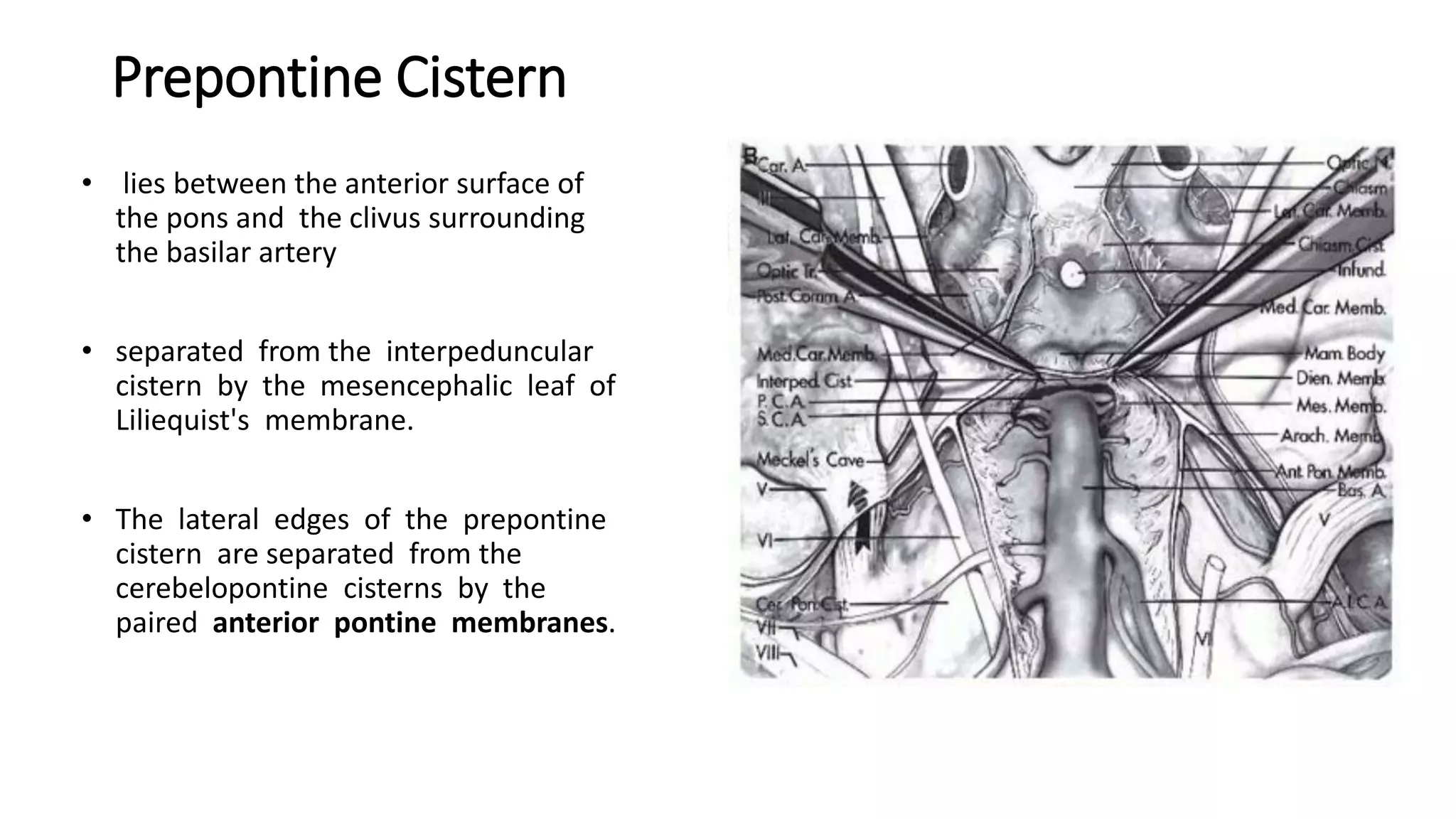ANATOMY OF SUBARACHNOID CISTERNS OF BRAIN | PPTX