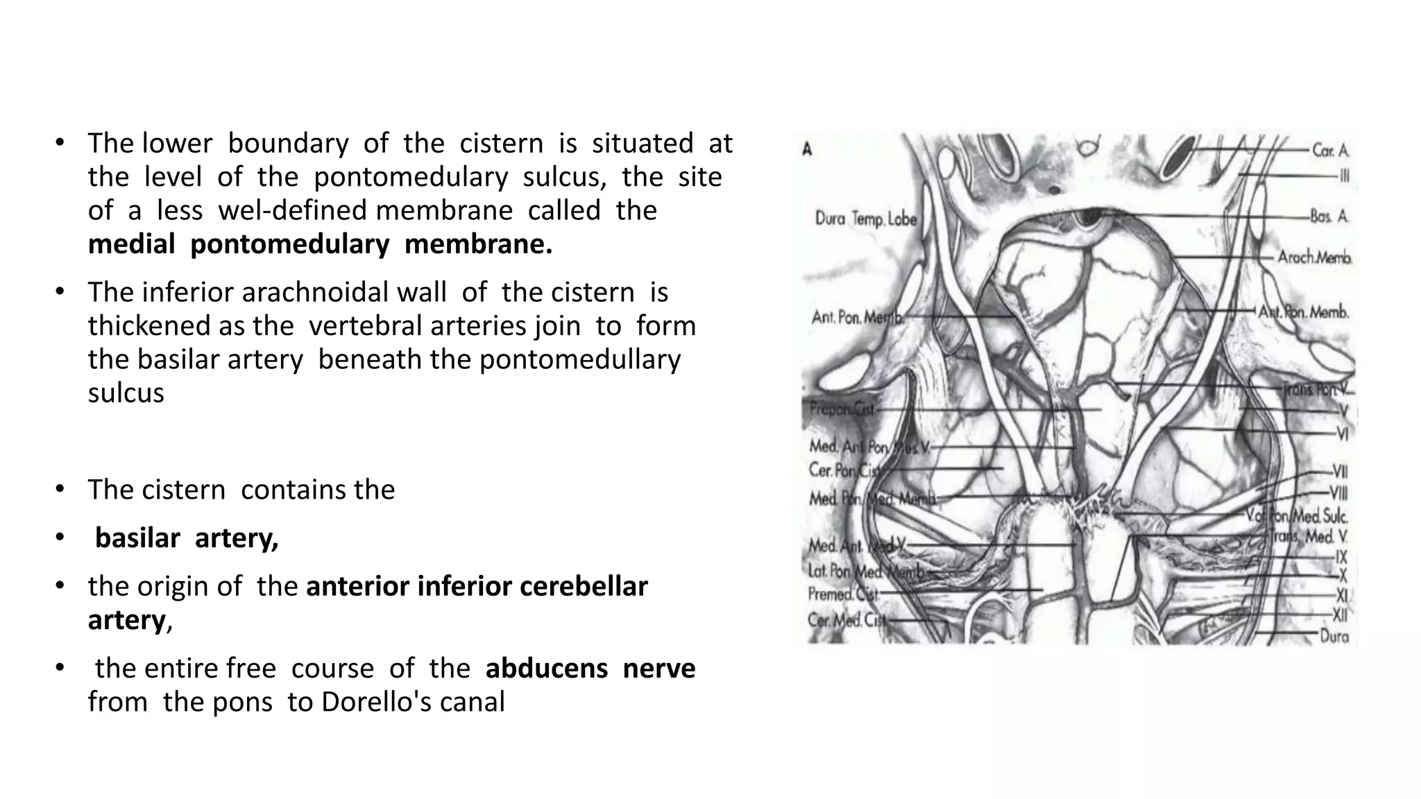 ANATOMY OF SUBARACHNOID CISTERNS OF BRAIN | PPTX