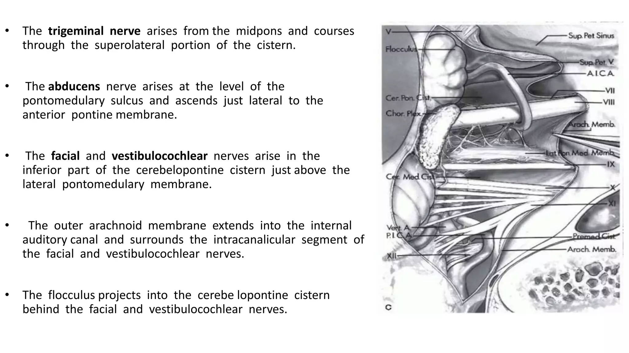 ANATOMY OF SUBARACHNOID CISTERNS OF BRAIN | PPTX