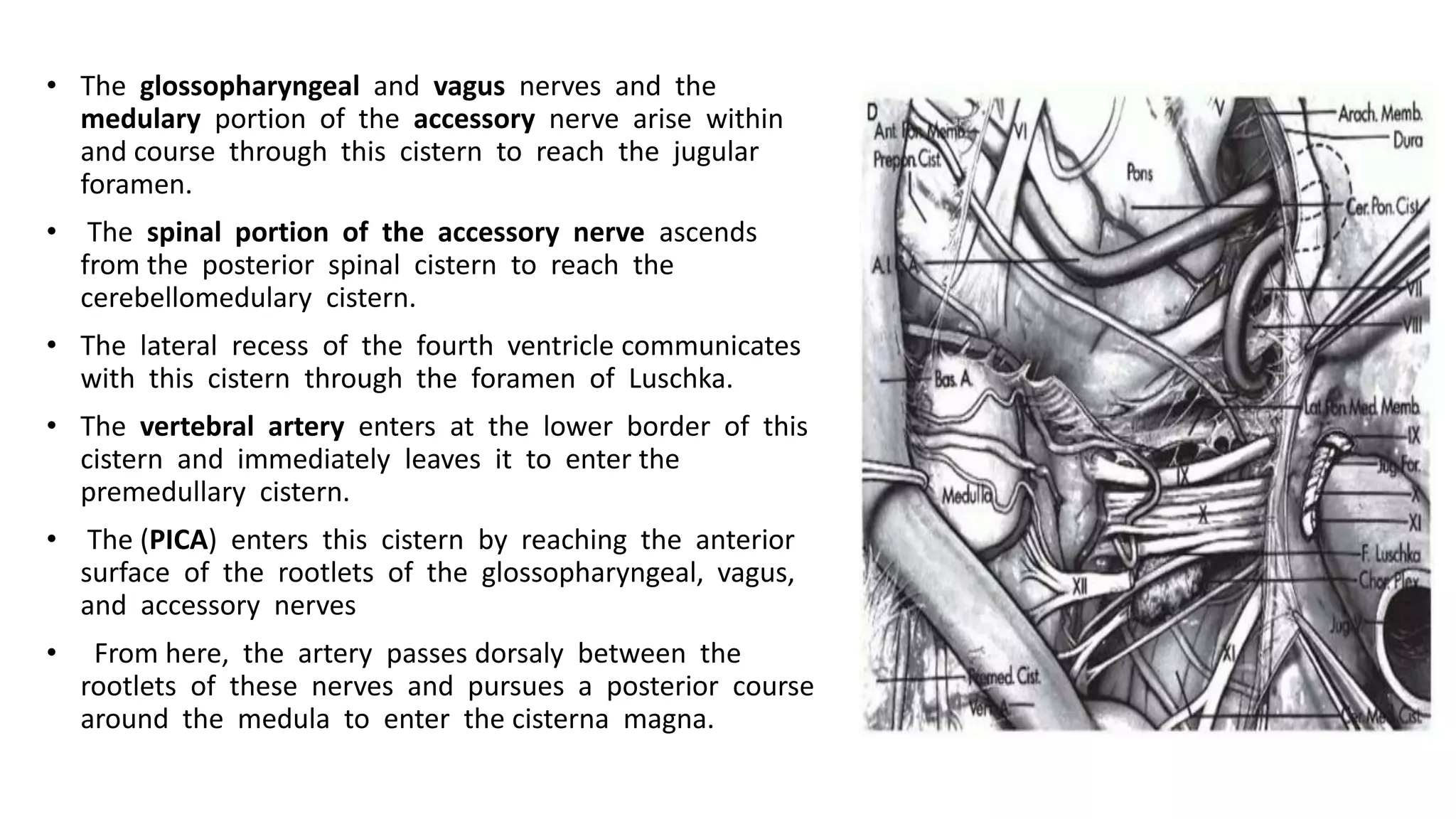 ANATOMY OF SUBARACHNOID CISTERNS OF BRAIN | PPTX