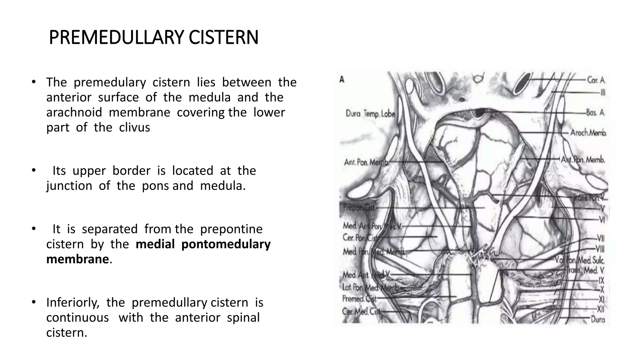ANATOMY OF SUBARACHNOID CISTERNS OF BRAIN | PPTX