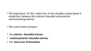 ANATOMY OF SUBARACHNOID CISTERNS OF BRAIN | PPTX