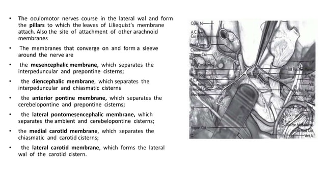 ANATOMY OF SUBARACHNOID CISTERNS OF BRAIN | PPTX
