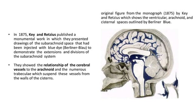 ANATOMY OF SUBARACHNOID CISTERNS OF BRAIN | PPTX
