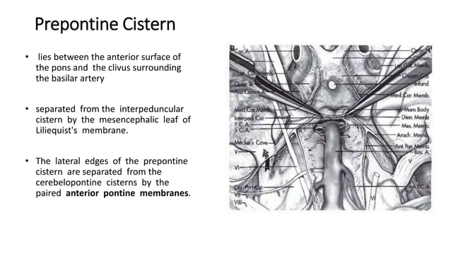 ANATOMY OF SUBARACHNOID CISTERNS OF BRAIN | PPTX